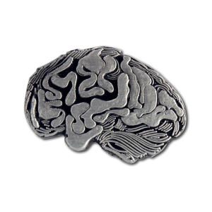 Detailed Pewter Organ Lapel Pins - Heart and Brain | Promotional ...